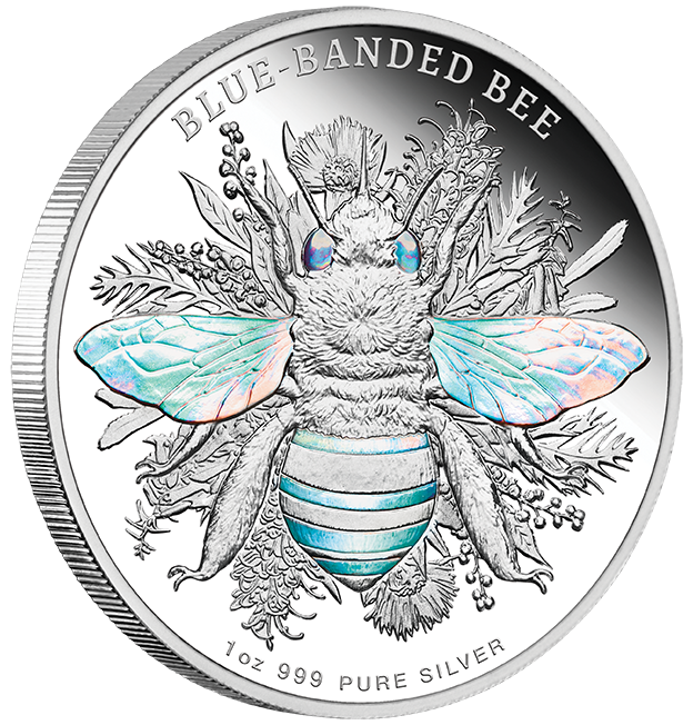 Australian Native Bees - Blue-banded Bee 2025 1oz Silver Proof Hologra ...