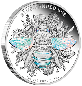 Australian Native Bees - Blue-banded Bee 2025 1oz Silver Proof Hologra ...