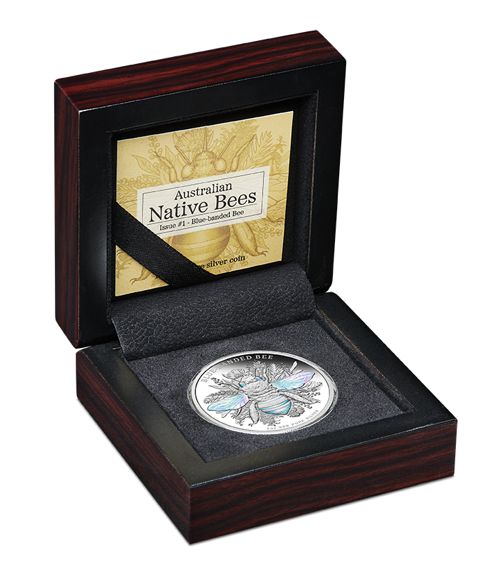 Australian Native Bees - Blue-banded Bee 2025 1oz Silver Proof Hologra ...